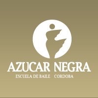 Azúcar Negra - Salsero